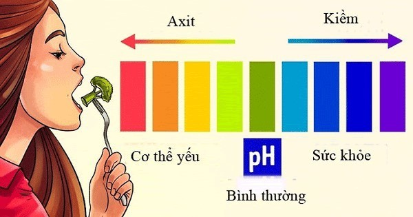 Độ pH là gì? Tầm quan trọng của độ pH với cơ thể con người - Geyser ...